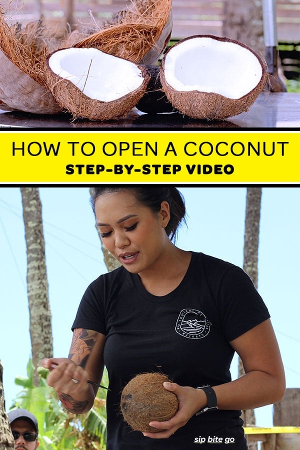 How to Open a Coconut Step By Step - Sip Bite Go