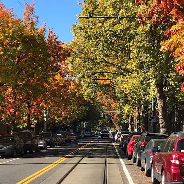 Weekend Trips to Take During Fall in Oregon - Sip Bite Go
