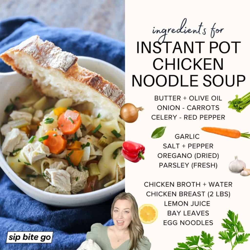 Instant Pot Chicken Noodle Soup (Pressure Cooker Recipe) - Sip Bite Go