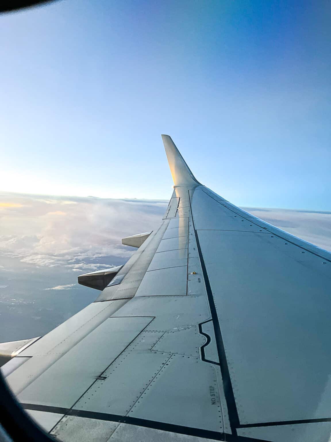 Easy & Healthy Plane Snacks For Kids (and Adults!) - Sip Bite Go