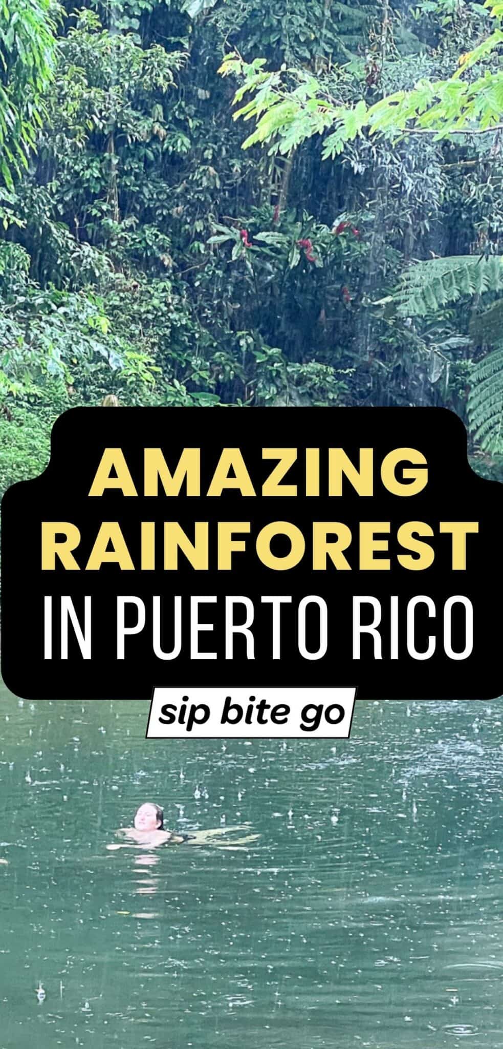 El Yunque Puerto Rico Rainforest Tour Review - Sip Bite Go